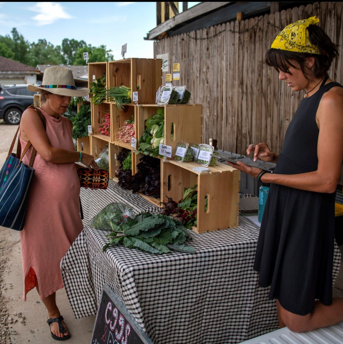 The Vegetarian turned Hunter: Grad Student Cori Persinger finds ...